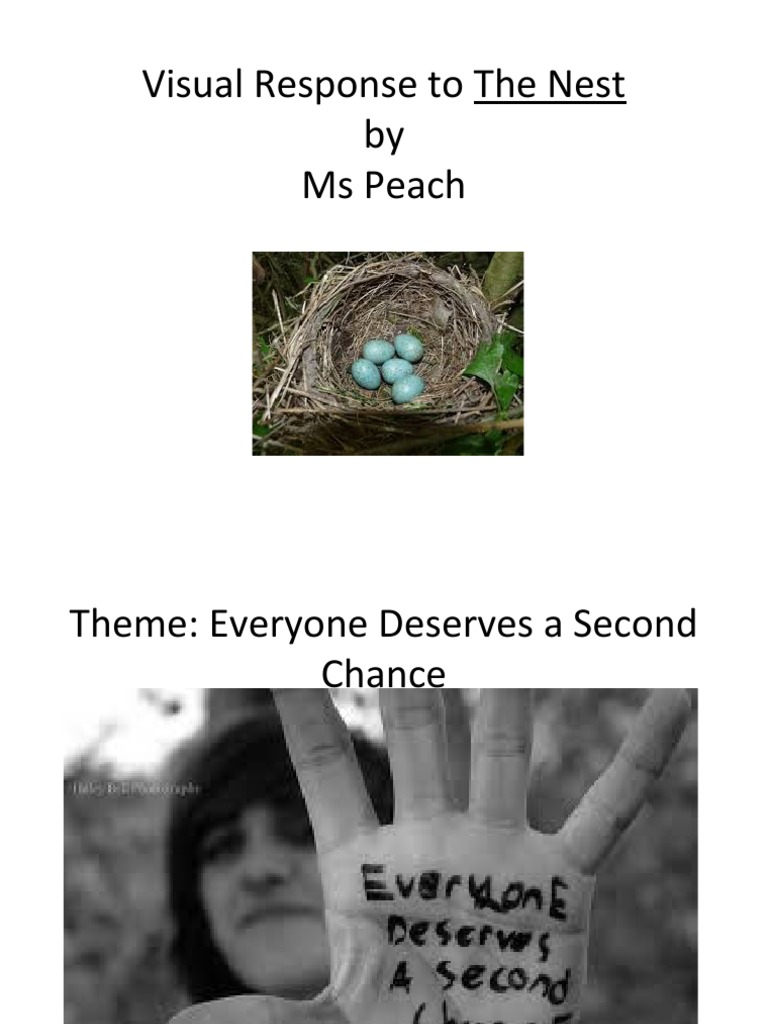 Visual Response To The Nest-1 | PDF