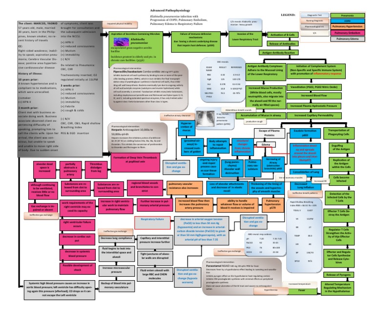 Advanced Pathophysiology of Respiratory Failure and Other Underlying ...