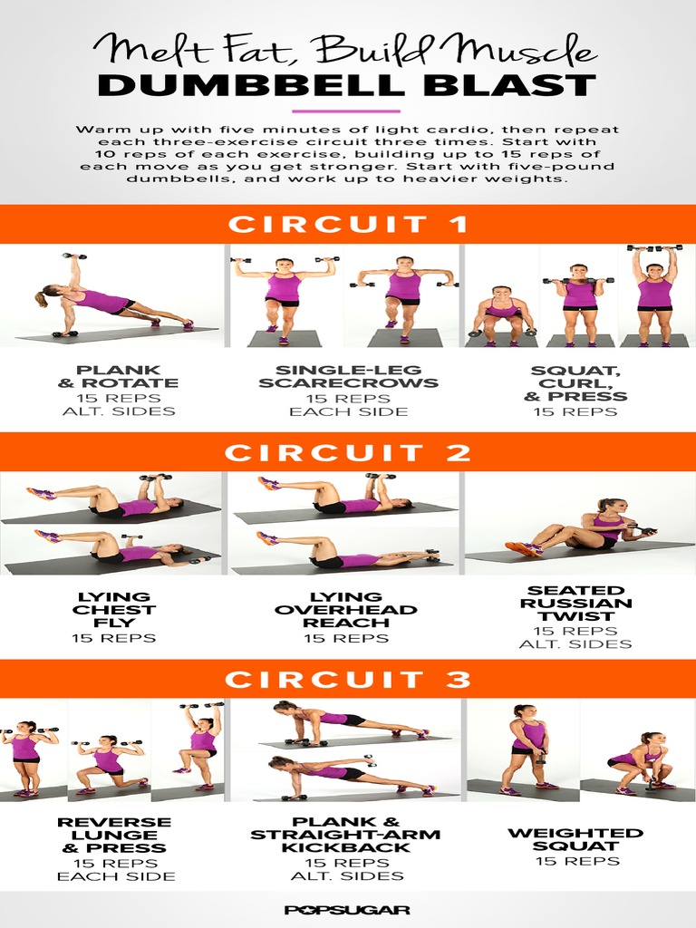 Dumbbell Circuit Workout for Fat Loss | PDF