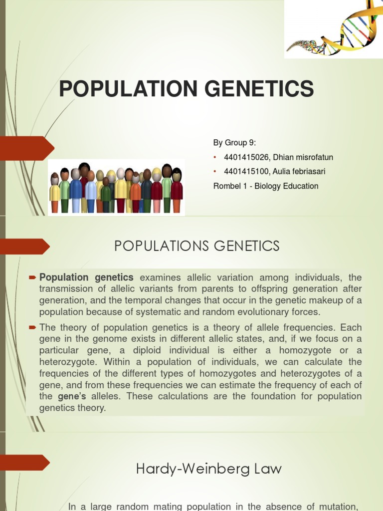Population Genetics & Hardy-Weinberg | PDF | Dominance (Genetics ...