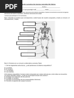 Evaluación Aparato Locomotor Cuarto | PDF | Músculo | Sistema musculoesquelético humano
