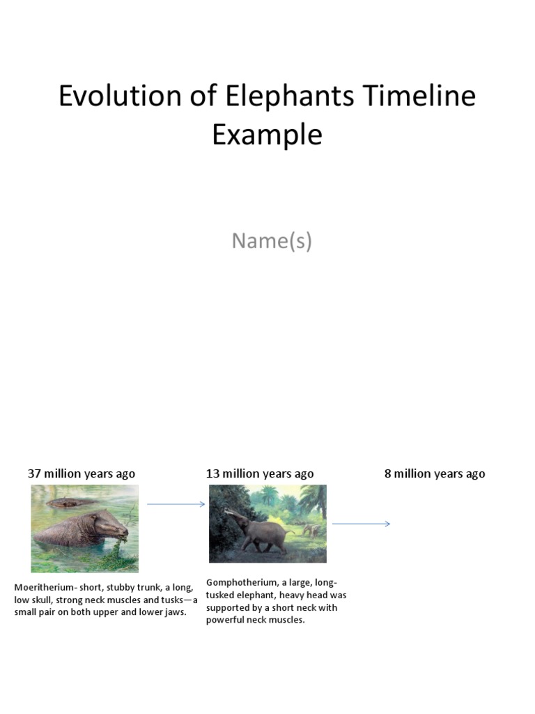 Elephant Evolution Timeline Overview | PDF