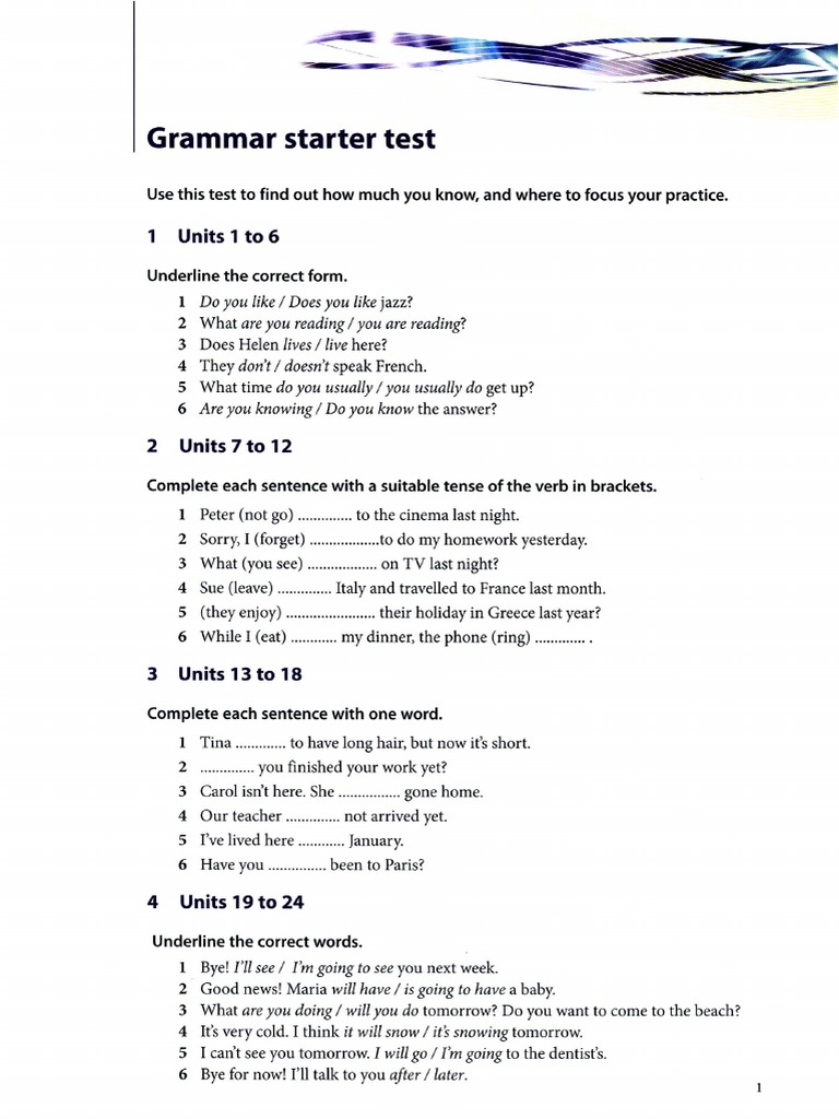 Grammar Starter Test | PDF