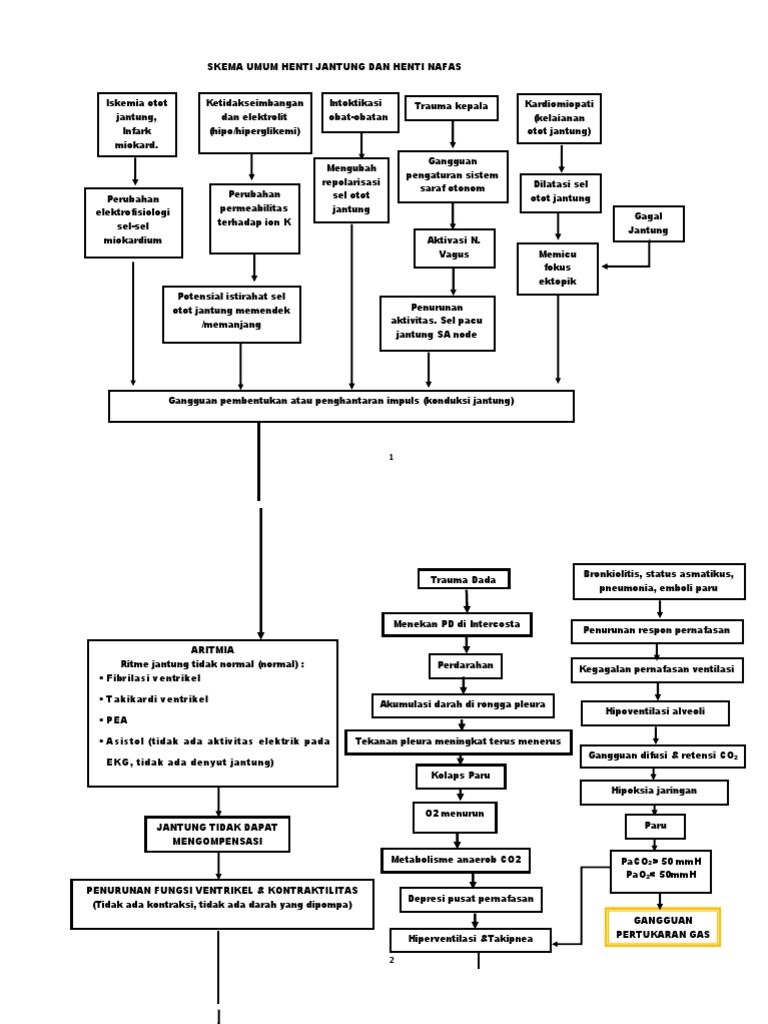 WOC Henti Jantung | PDF