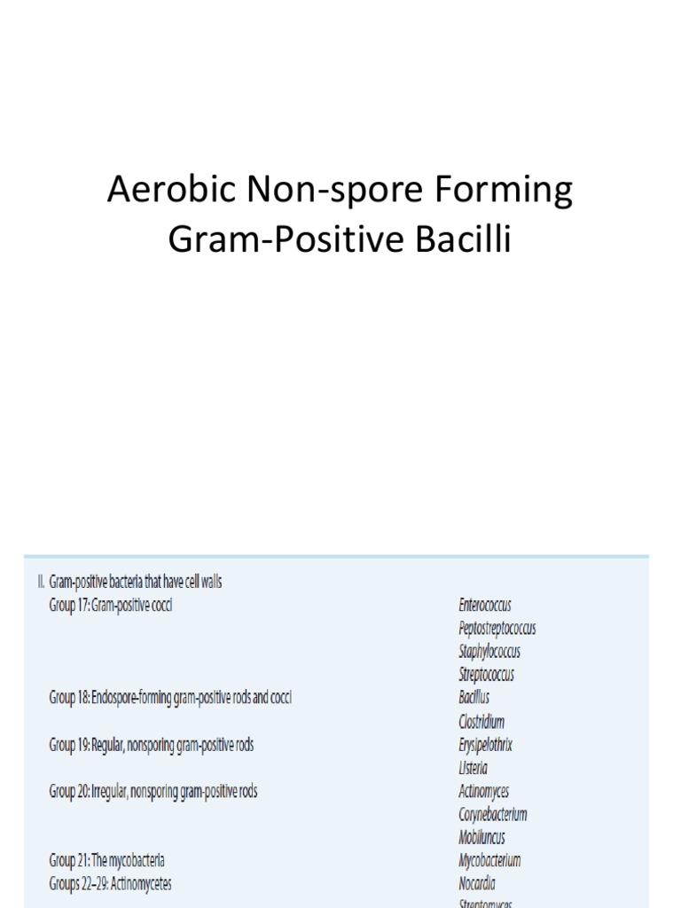 Aerobic Non-Spore Forming Gram-Positive Bacilli | PDF | Prokaryote ...