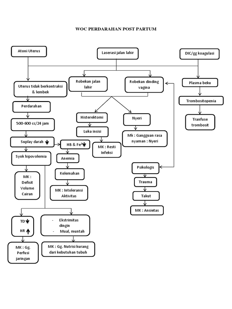 Woc Perdarahan Post Partum | PDF