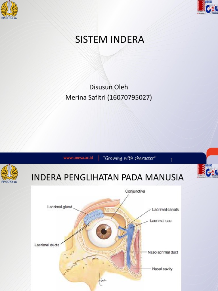 Indera | PDF