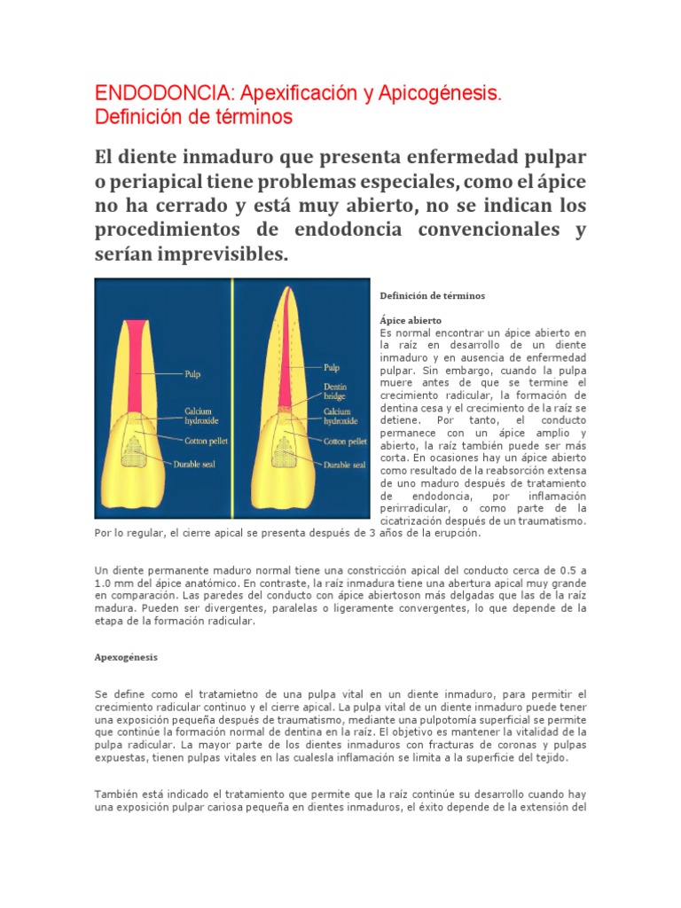 Apexificación y Apicogénesis | PDF | Calcio | Diente