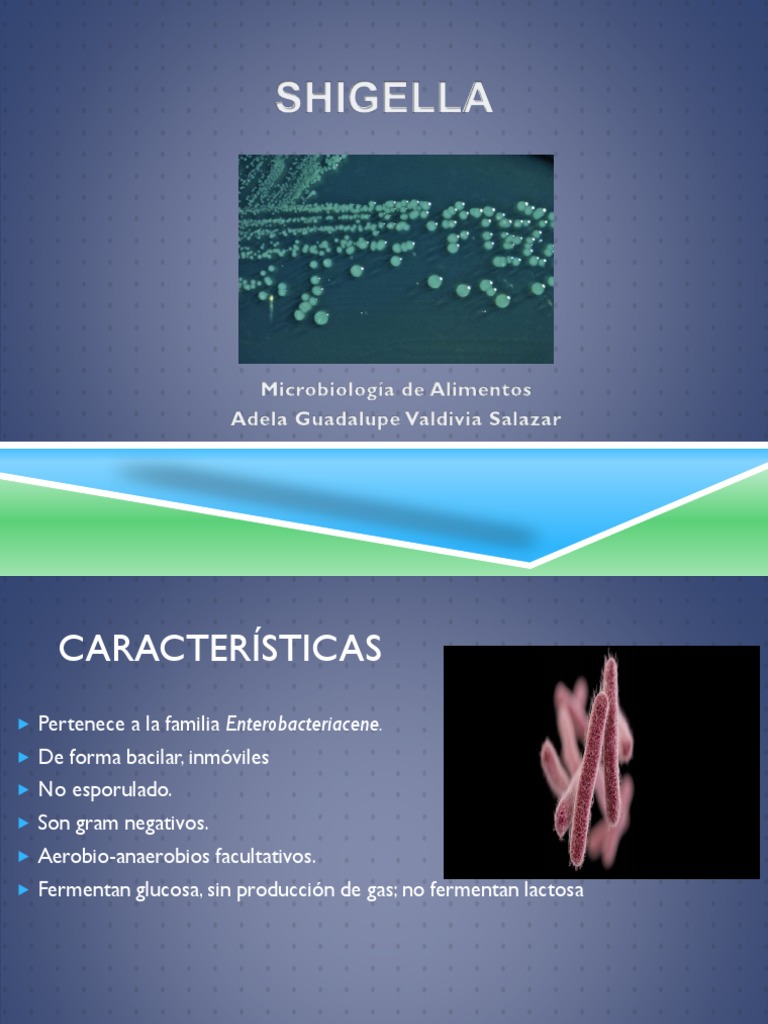 Shigella | PDF | Microbiología | Especialidades Medicas