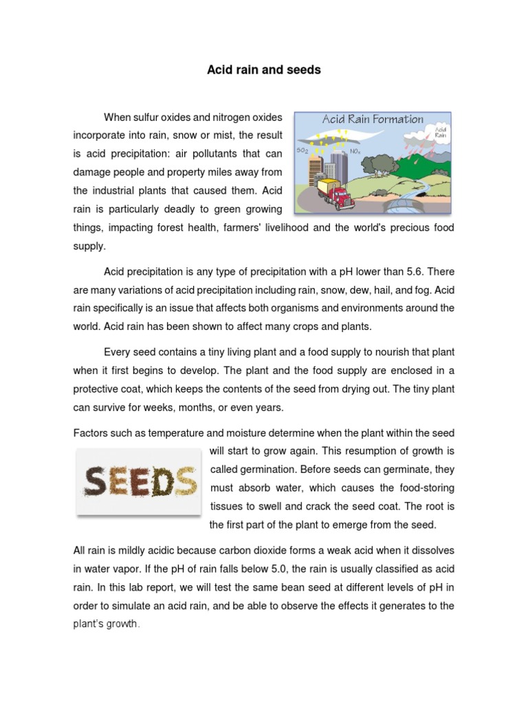Acid Rain and Seeds | PDF | Rain | Seed