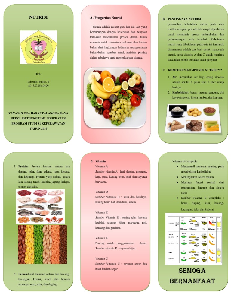 Leaflet Nutrisi | PDF