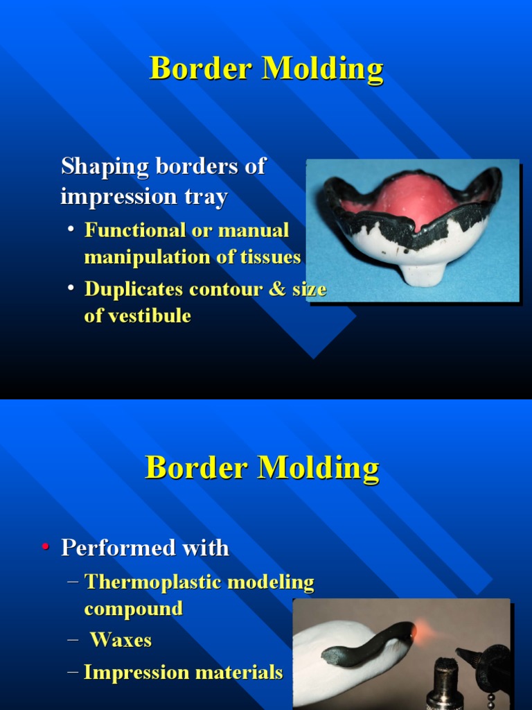 Border Molding | PDF | Tongue | Anatomical Terms Of Location