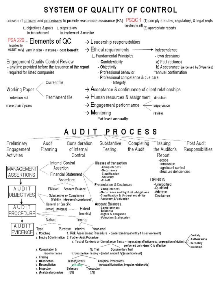 Summary Notes | PDF | Financial Audit | Auditor's Report