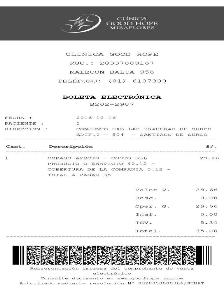 Formato para Boletas Electronicas | PDF