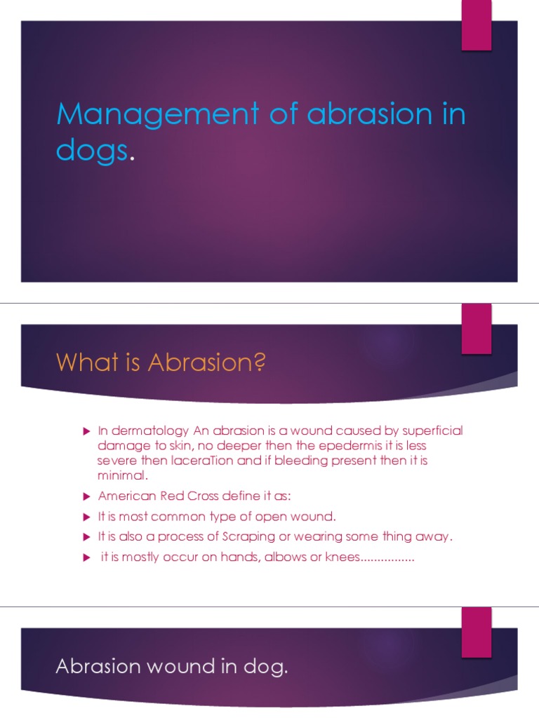 Managing Dog Abrasions: Treatment Guide | PDF | Wound | Antibiotics