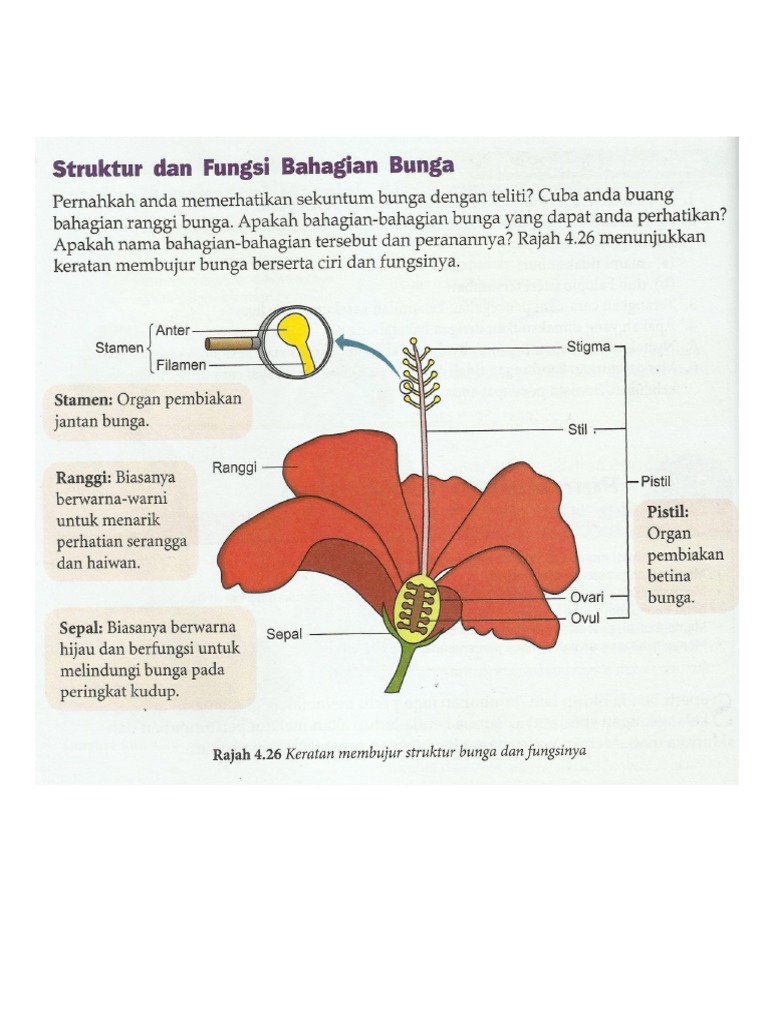 Pembiakan Bunga 1 | PDF
