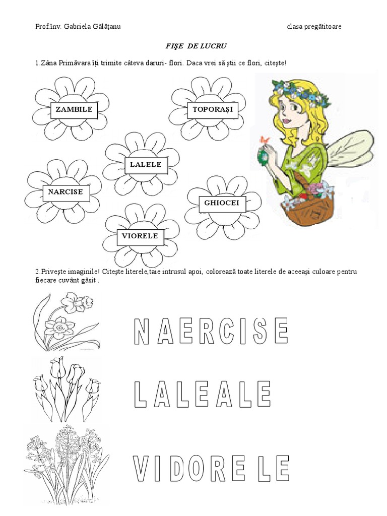 Fise de Lucru-Primavara | PDF