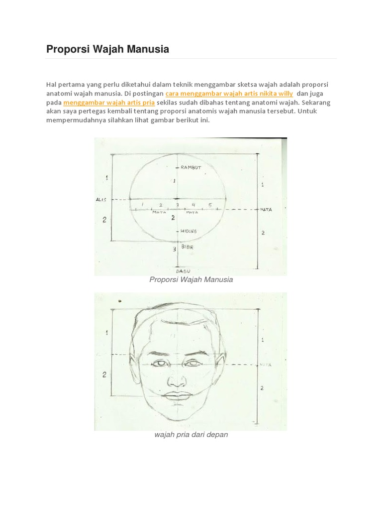 Proporsi Wajah Manusia | PDF