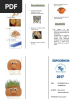 Señor y Señora Cabeza de Pasto Paso A Paso | PDF | Hogar, jardinería y ...