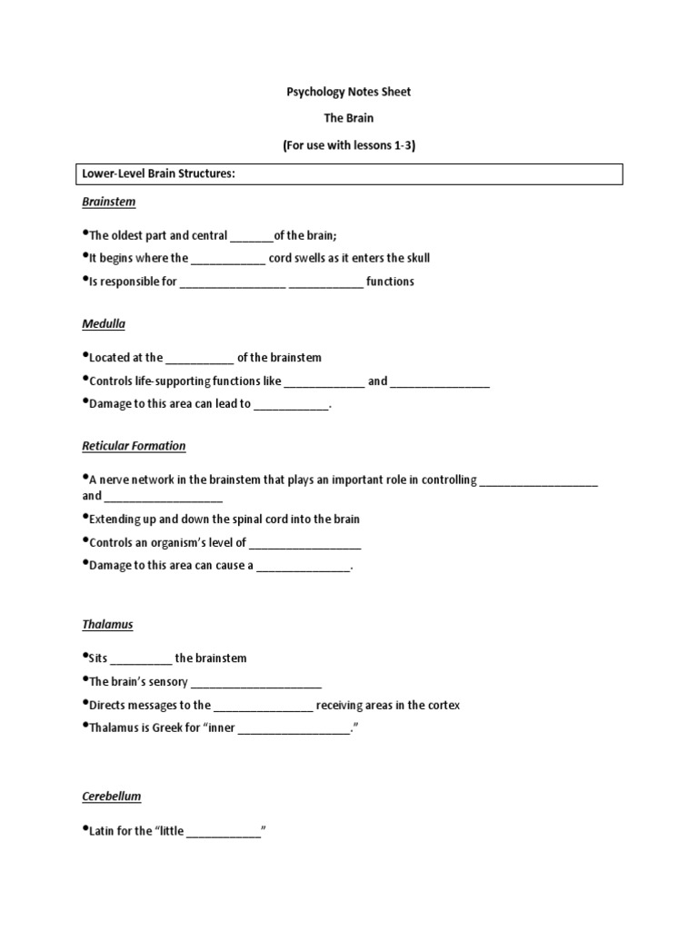 Psychology Notes Sheet | PDF | Cerebral Cortex | Lateralization Of ...