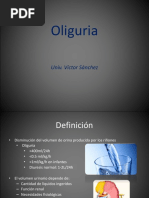Oliguria y Anuria: Definición y Causas | PDF | Riñón | Especialidades ...