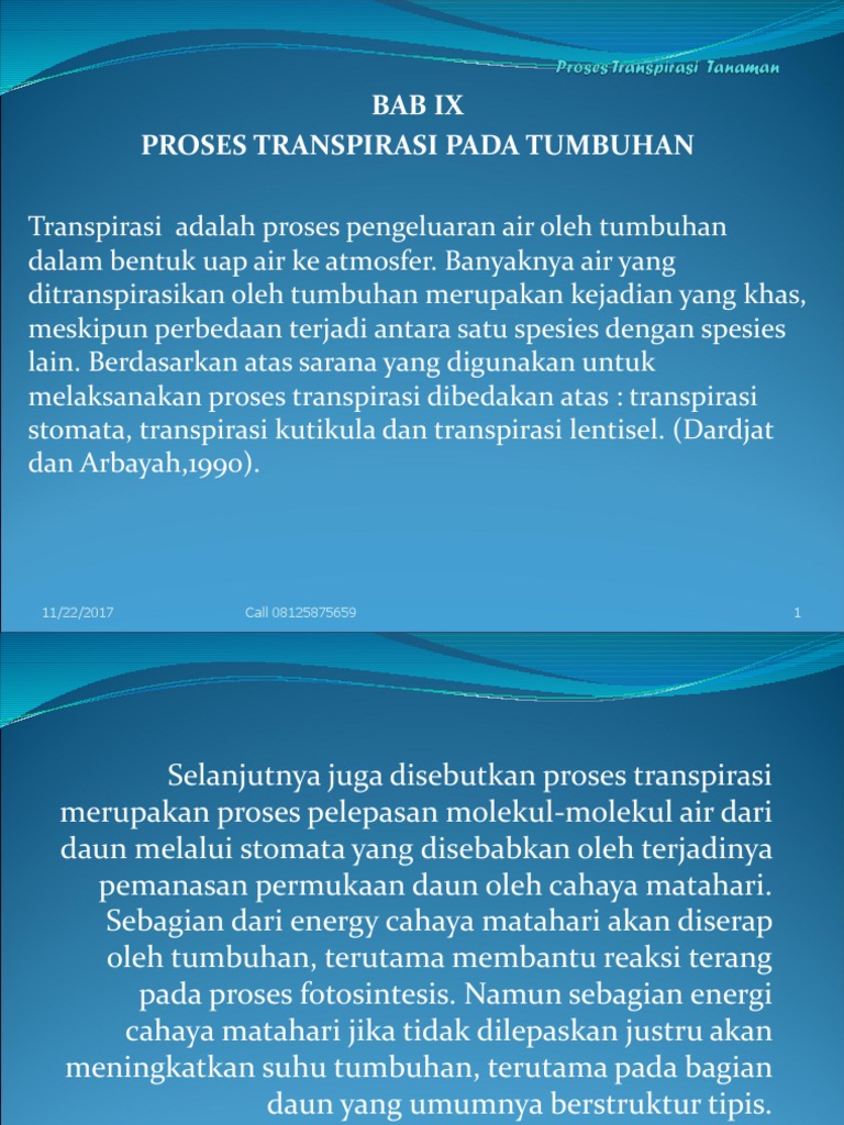 Proses Transpirasi Pada Tanaman 9 B | PDF