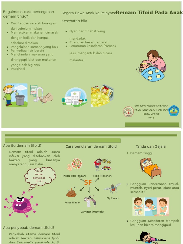 Leaflet Tifoid Fix | PDF