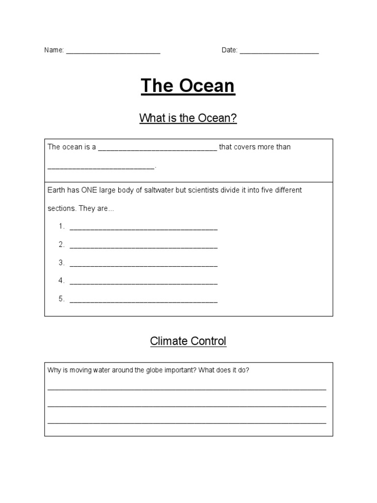 Understanding the Ocean's Ecosystem | PDF | Science & Mathematics