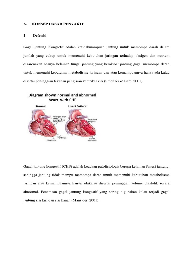 LP Dan Askep CHF Nanda Nic Noc | PDF