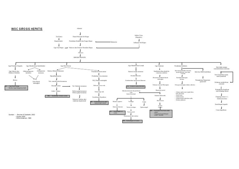 Woc Sirosis Hepatis | PDF
