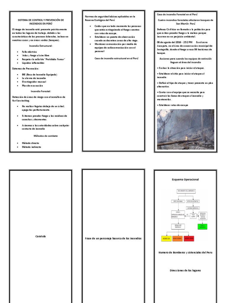 Triptico | PDF | Fuego fatuo | Los bosques