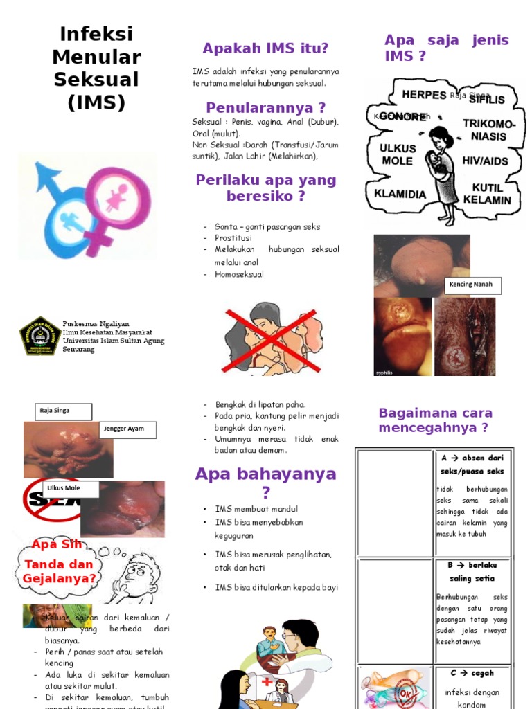 Leaflet IMS Fix | PDF