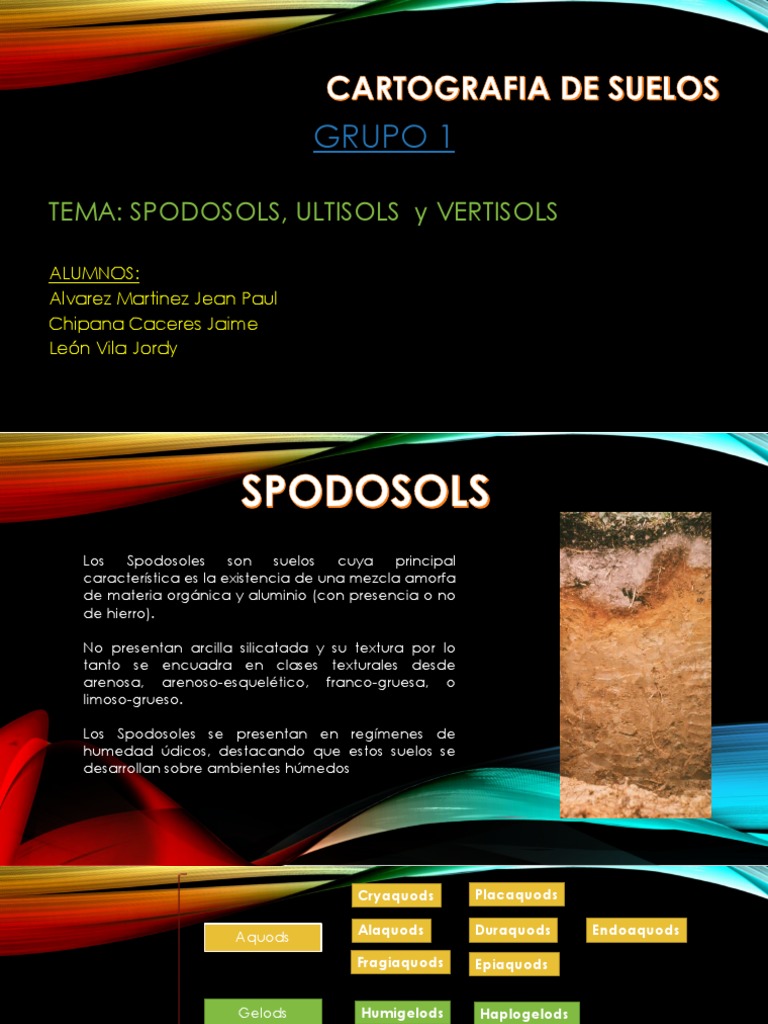 Tipos de Spodosoles y sus Subgrupos | PDF | Materiales naturales | Suelo