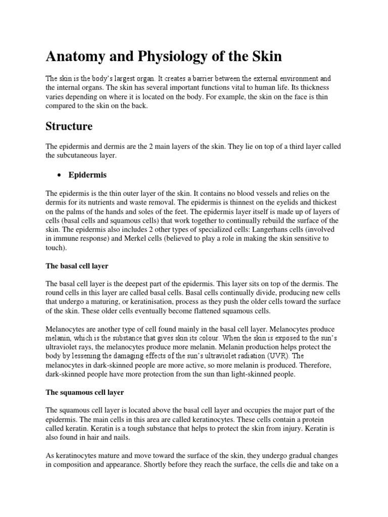 Anatomy and Physiology of The Skin | PDF | Skin | Epidermis