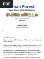 Tree Planting Guide | PDF | Plant Nursery | Trees