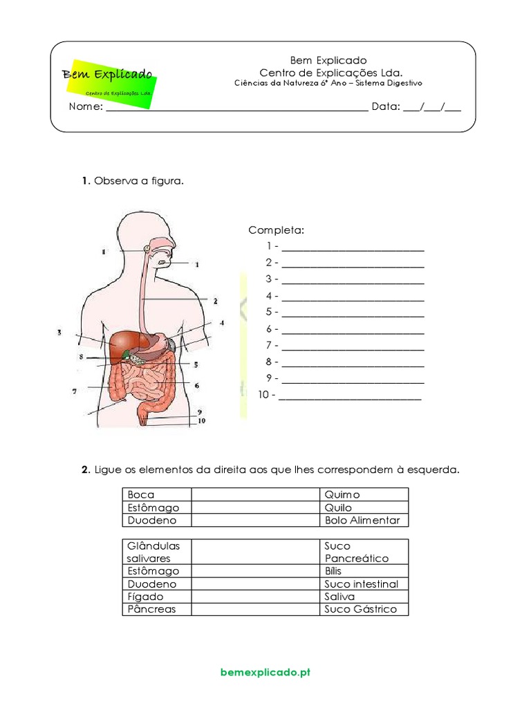 A.2.1 - Sistema digestivo humano - Ficha de trabalho (1).pdf A.2.1 - Sistema digestivo humano - Ficha de trabalho (1).pdf