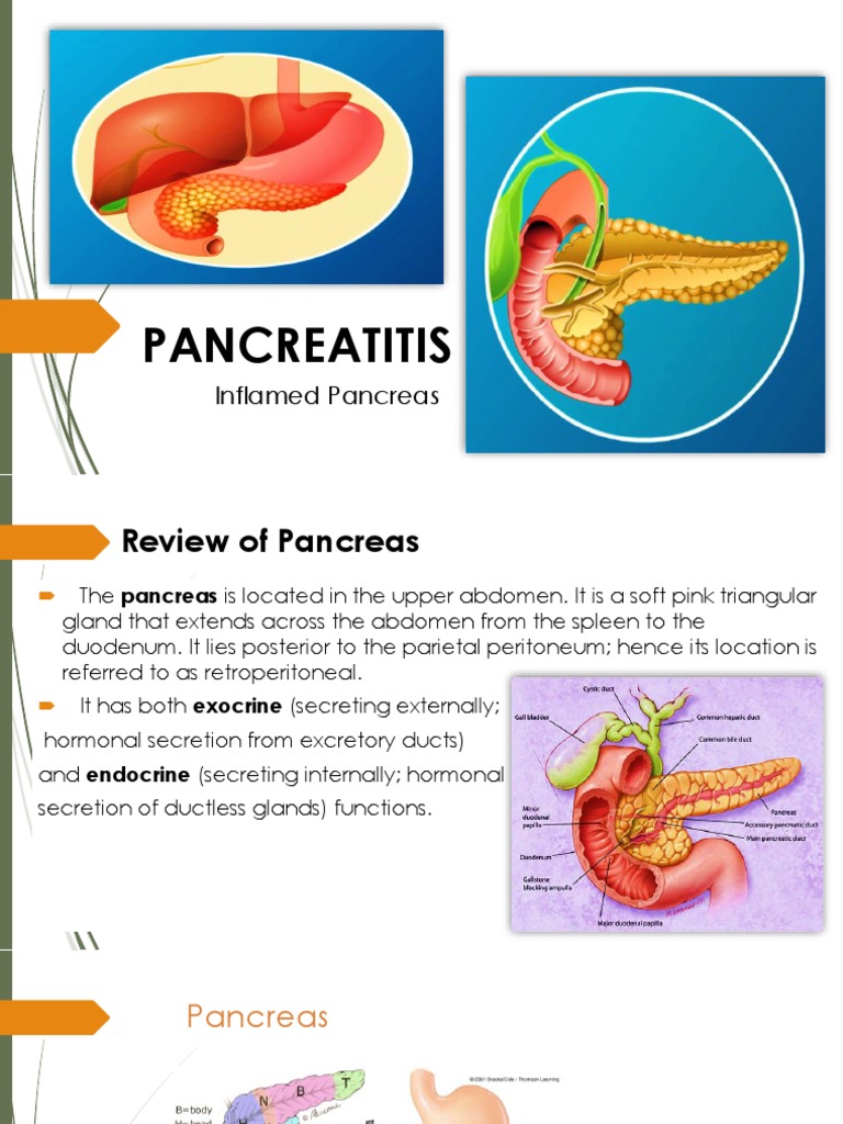 A Comprehensive Review of Pancreatitis: Causes, Pathophysiology ...