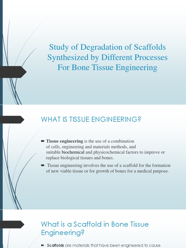 Study of Degradation of Scaffolds Synthesized by Different Processes ...