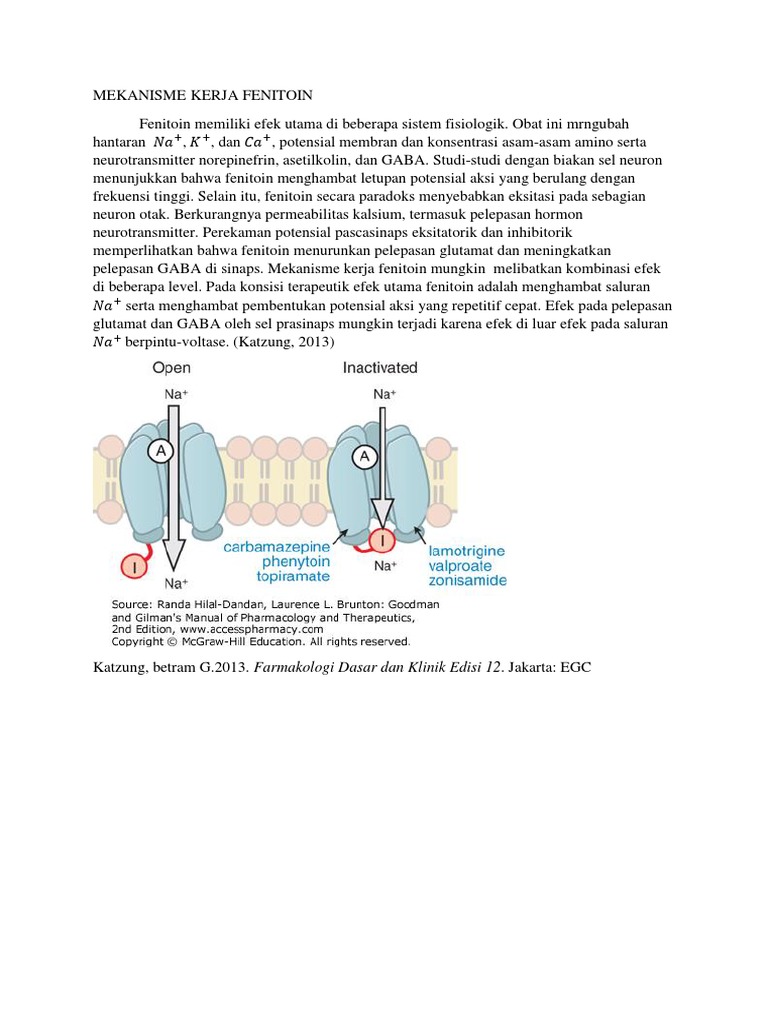 Mekanisme Kerja Fenitoin | PDF