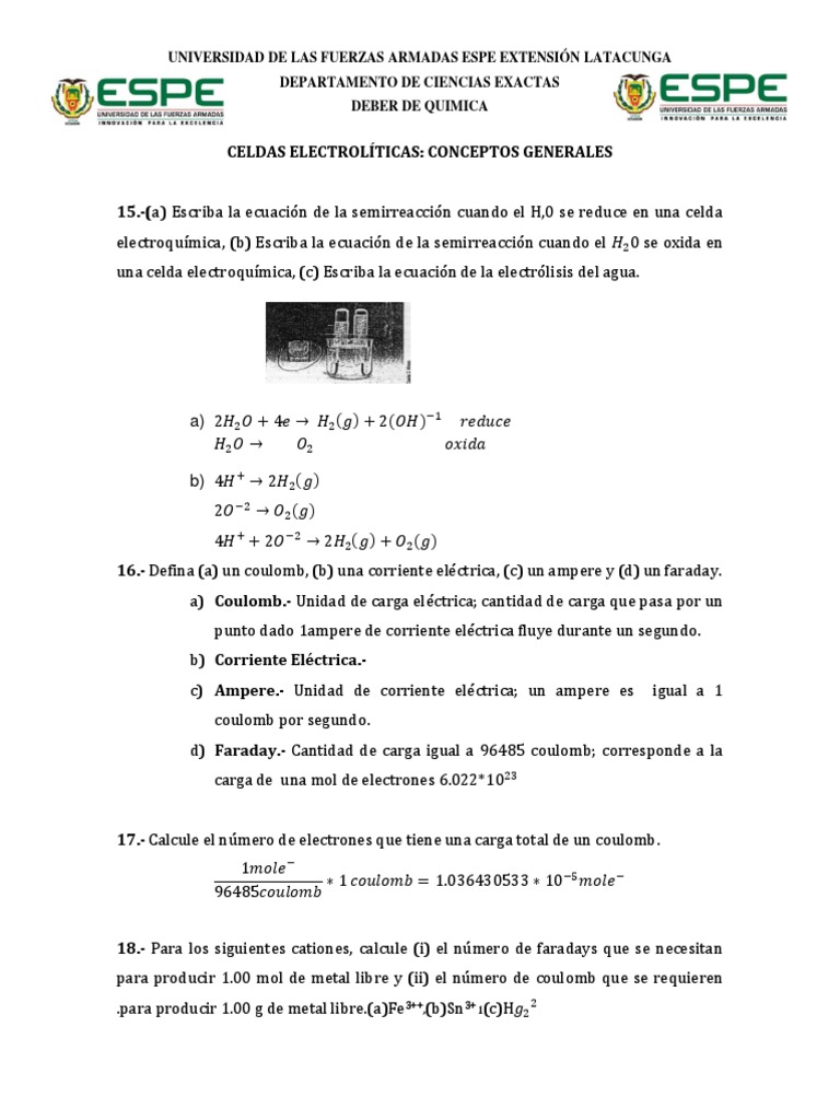 Celdas Electrolíticas | PDF | Electroquímica | Química