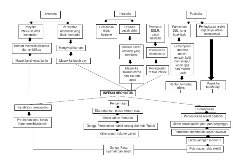 Pathway Infeksi Neonatus | PDF