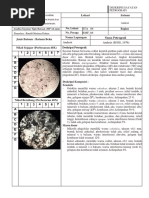 Klasifikasi Satuan Geomorfologi Menurut Van Zuidam (1983) | PDF