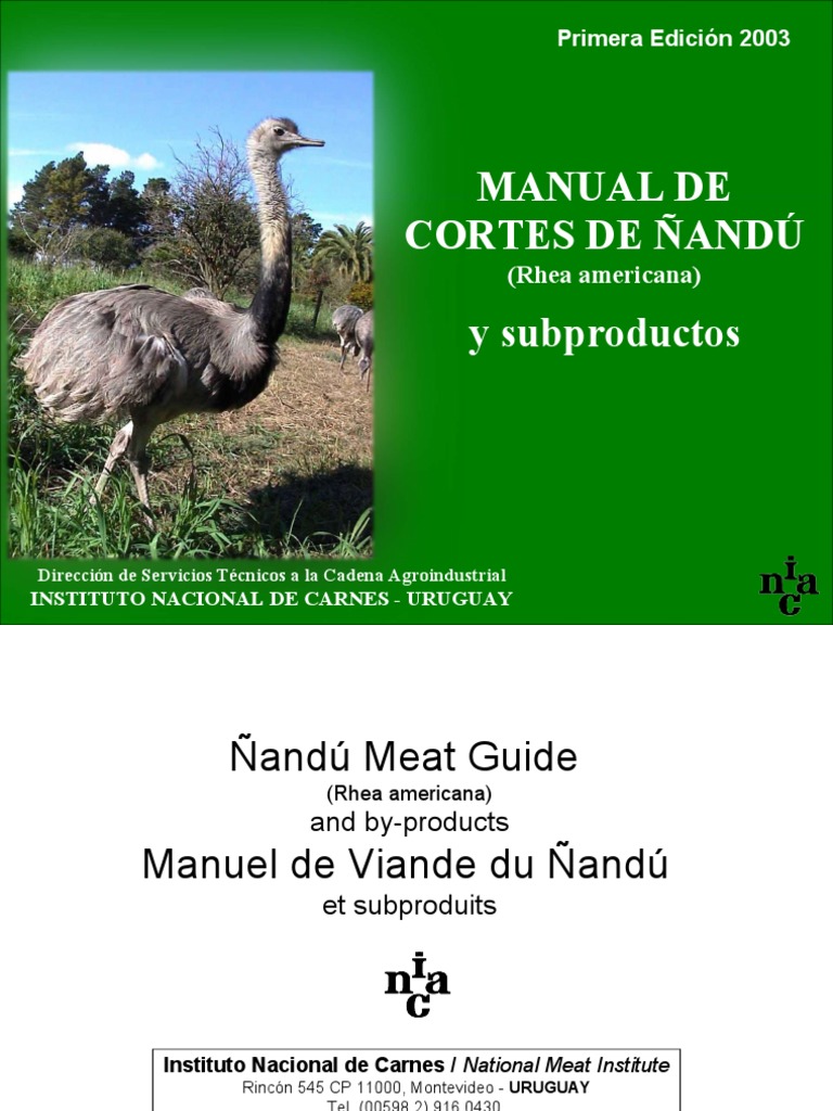 Procesamiento Del Ñandu | PDF | Vértebra | Sistema musculoesquelético