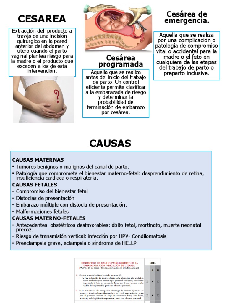CESAREA NORMATIVAS.pptx | Periodo posparto | Parto