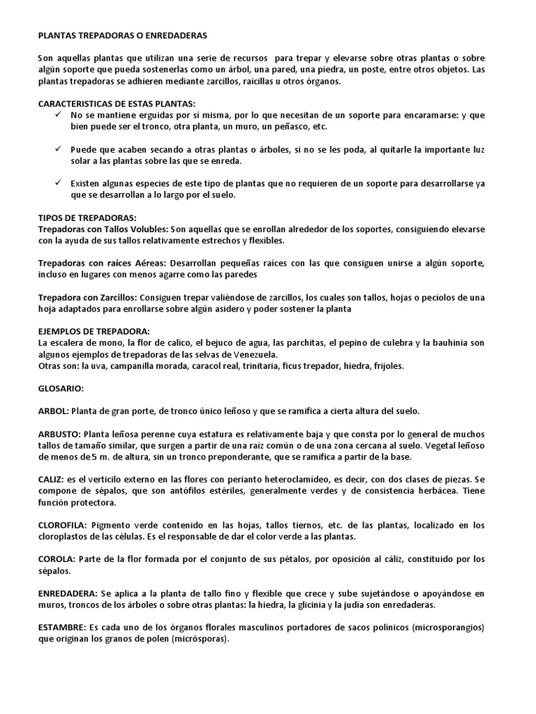 Plantas Trepadoras o Enredaderas | PDF | Flores | Hoja