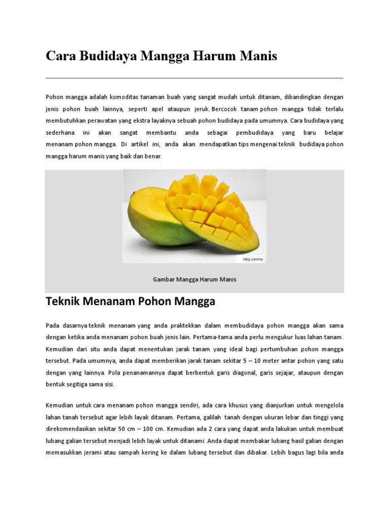 Cara Budidaya Mangga Harum Manis | PDF | Griya & Taman Cara Budidaya Mangga Harum Manis | PDF | Griya & Taman