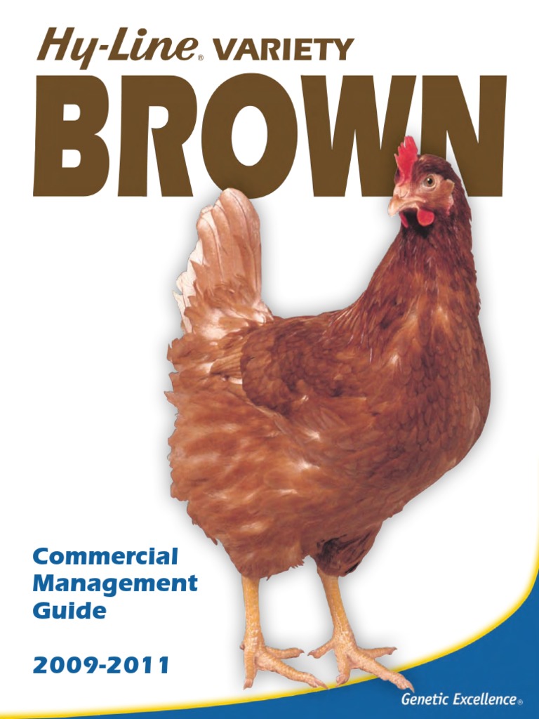 2009 Hy-Line Brown Guia | PDF | Chicken | Birds