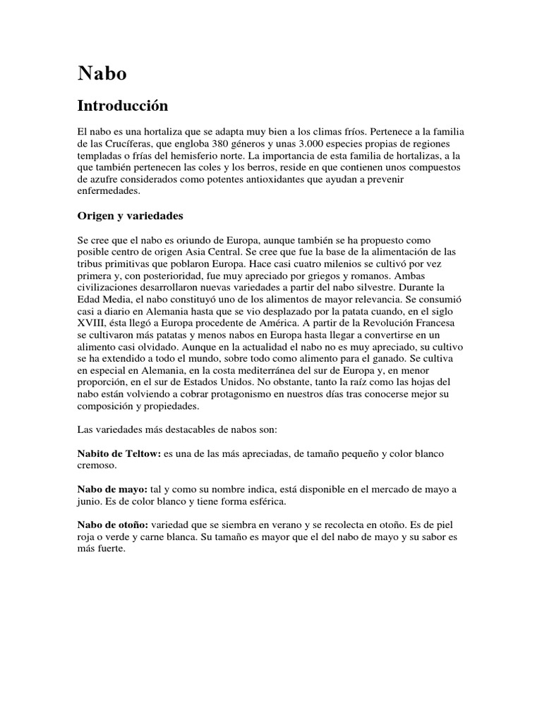 Nabo y Sus Propiedades | PDF | Nabo | Antioxidante