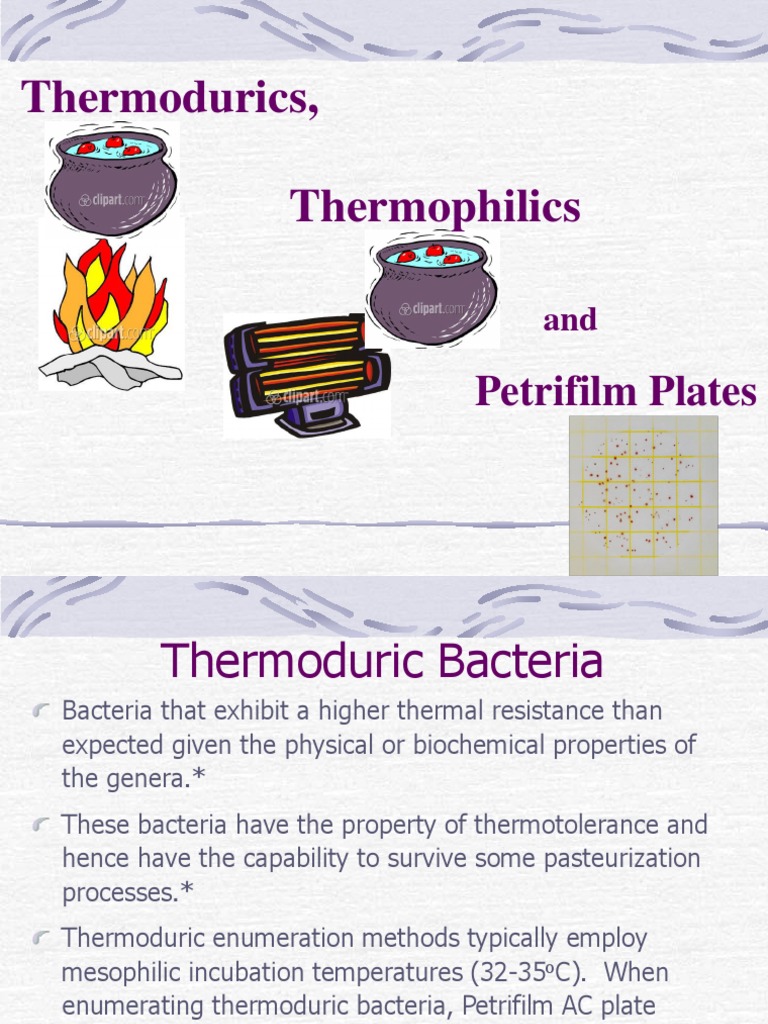 Thermophilic Bacteria Presentation Ver3 Aug05 | Powdered Milk | Milk