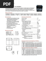 FT Series: FTB12-100 12V100Ah | PDF | Electrical Components | Electricity